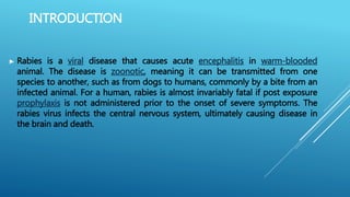 Rabies | PPT