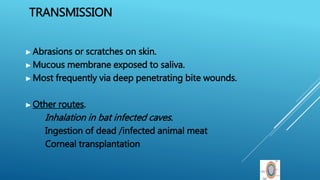 Rabies | PPT