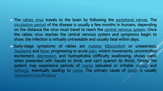 Rabies | PPT