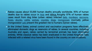 Rabies | PPT