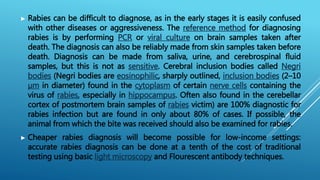 Rabies | PPT