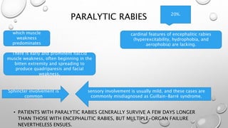Rabies | PPT