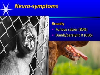 Rabies | PPT