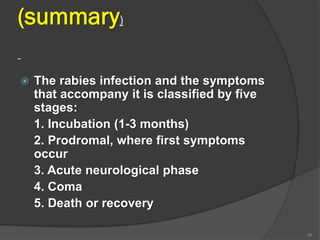 Rabies, Rhabdoviridae | PDF