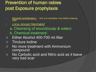 Rabies, Rhabdoviridae | PDF