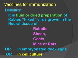 Rabies, Rhabdoviridae | PDF