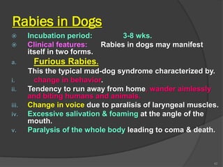 Rabies, Rhabdoviridae | PDF