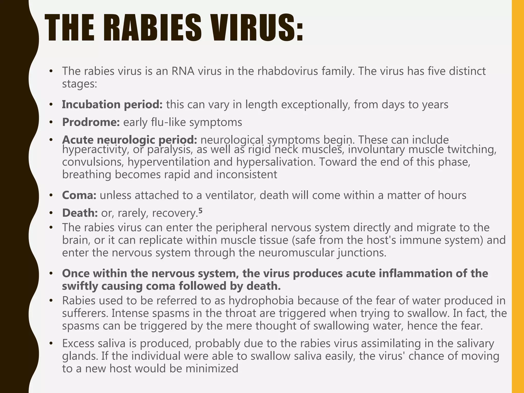 Rabies | PPTX