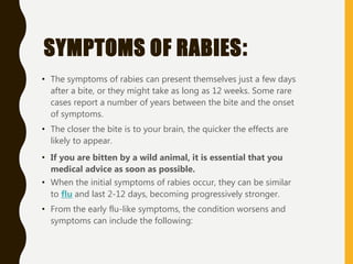 Rabies | PPTX