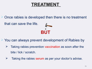 Rabies - a deadily viral non curable disease | PPT