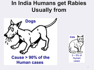 Rabies - a deadily viral non curable disease | PPT