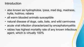 Rabies | PPTX