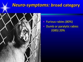 Rabies | PPT