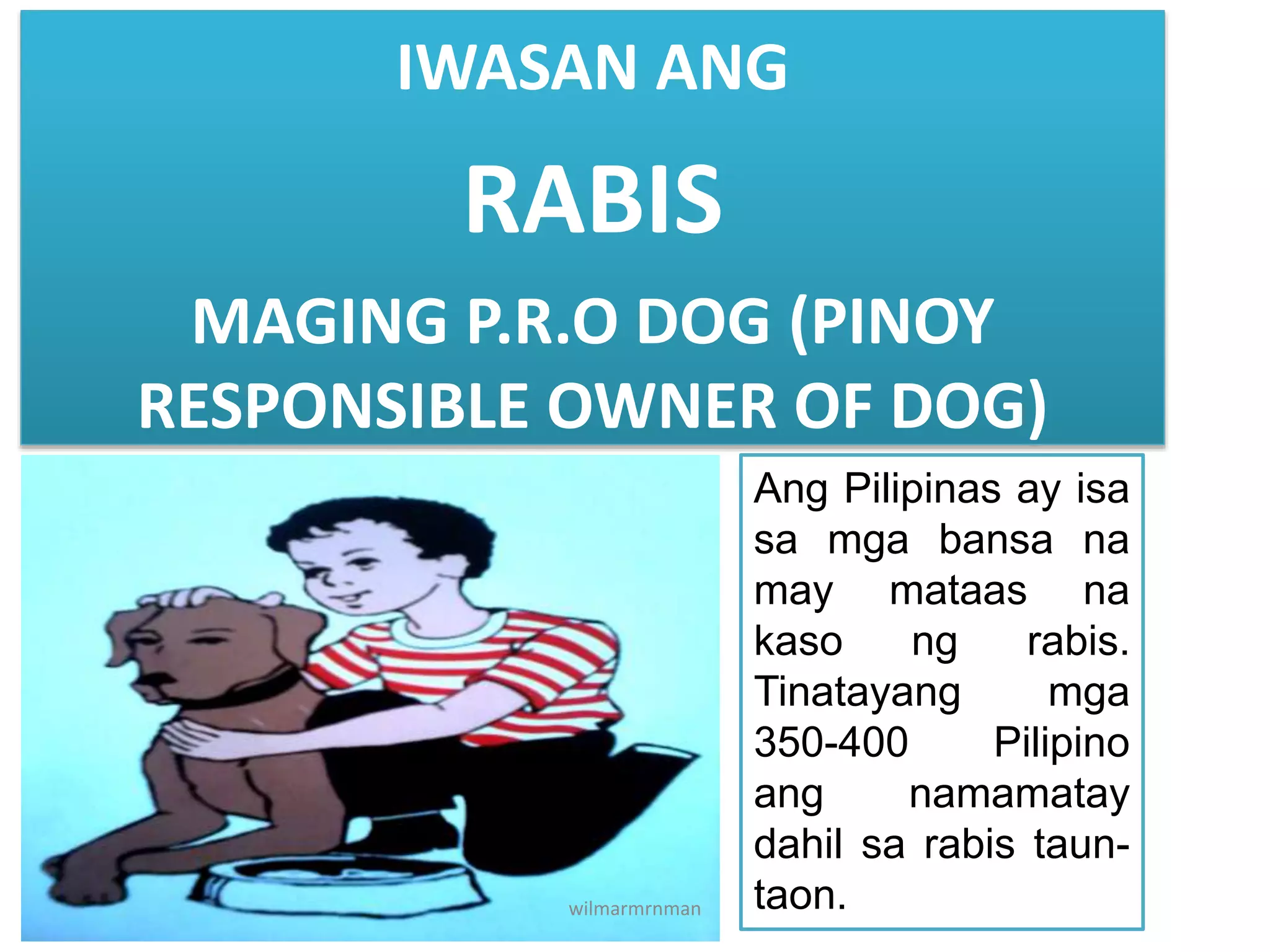 Responsible Pet Ownership | PPTX