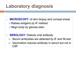 Rabies | PPTX