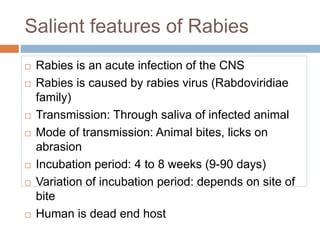 Rabies | PPTX