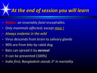 Rabies | PPT