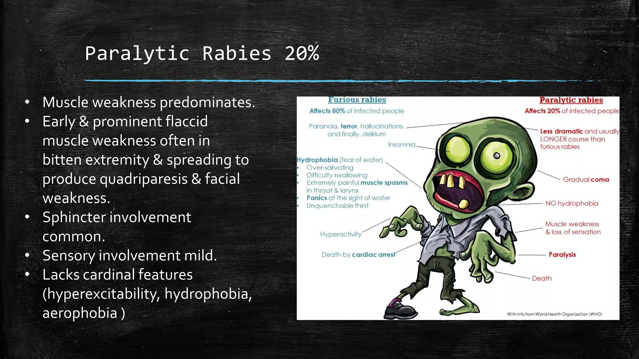 Rabies | PPTX