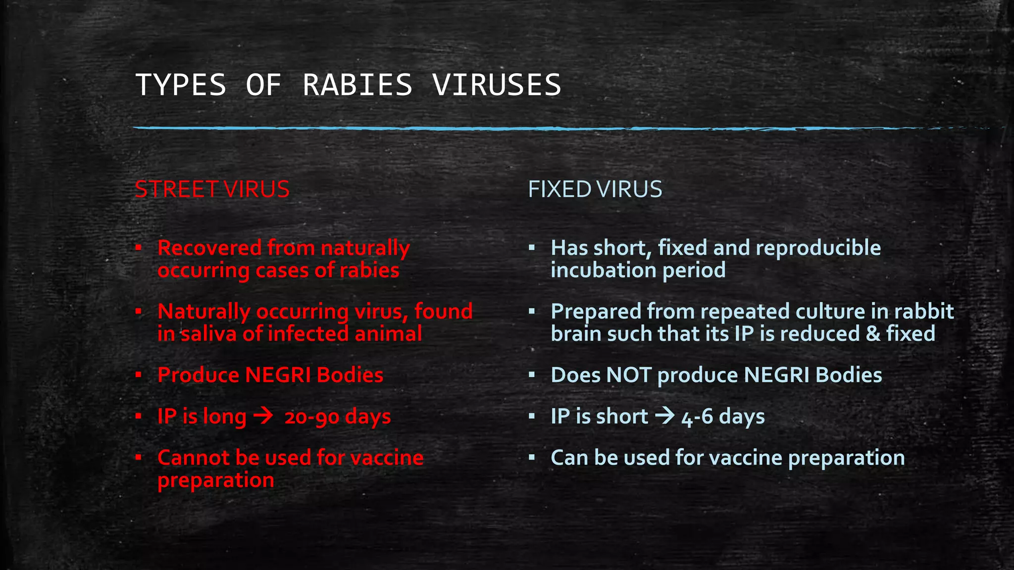 Rabies | PPTX