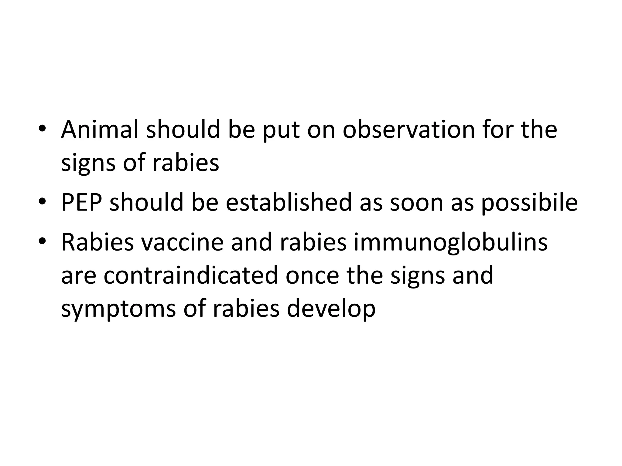 Rabies | PPTX