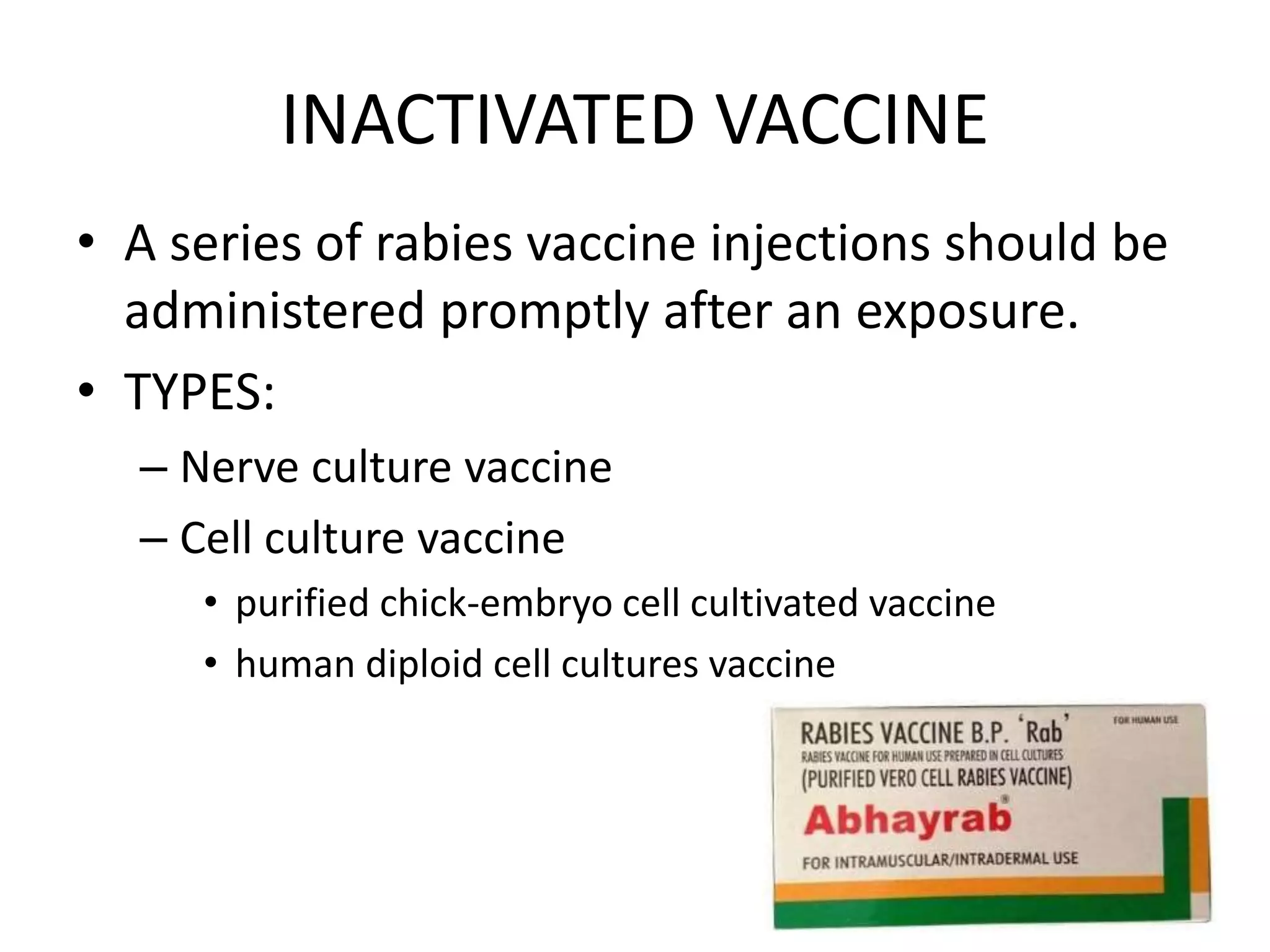 Rabies | PPTX