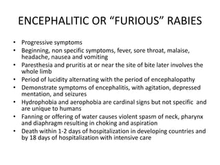 Rabies | PPTX