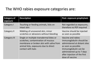 Rabies | PPTX