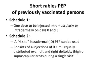 Rabies | PPTX