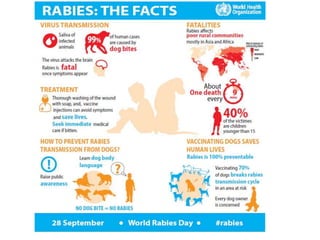 Rabies | PPTX