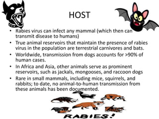 Rabies | PPTX