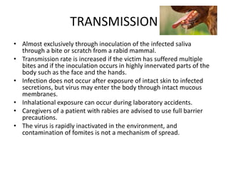 Rabies | PPTX