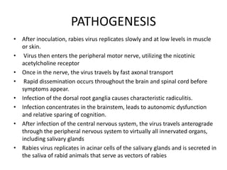 Rabies | PPTX