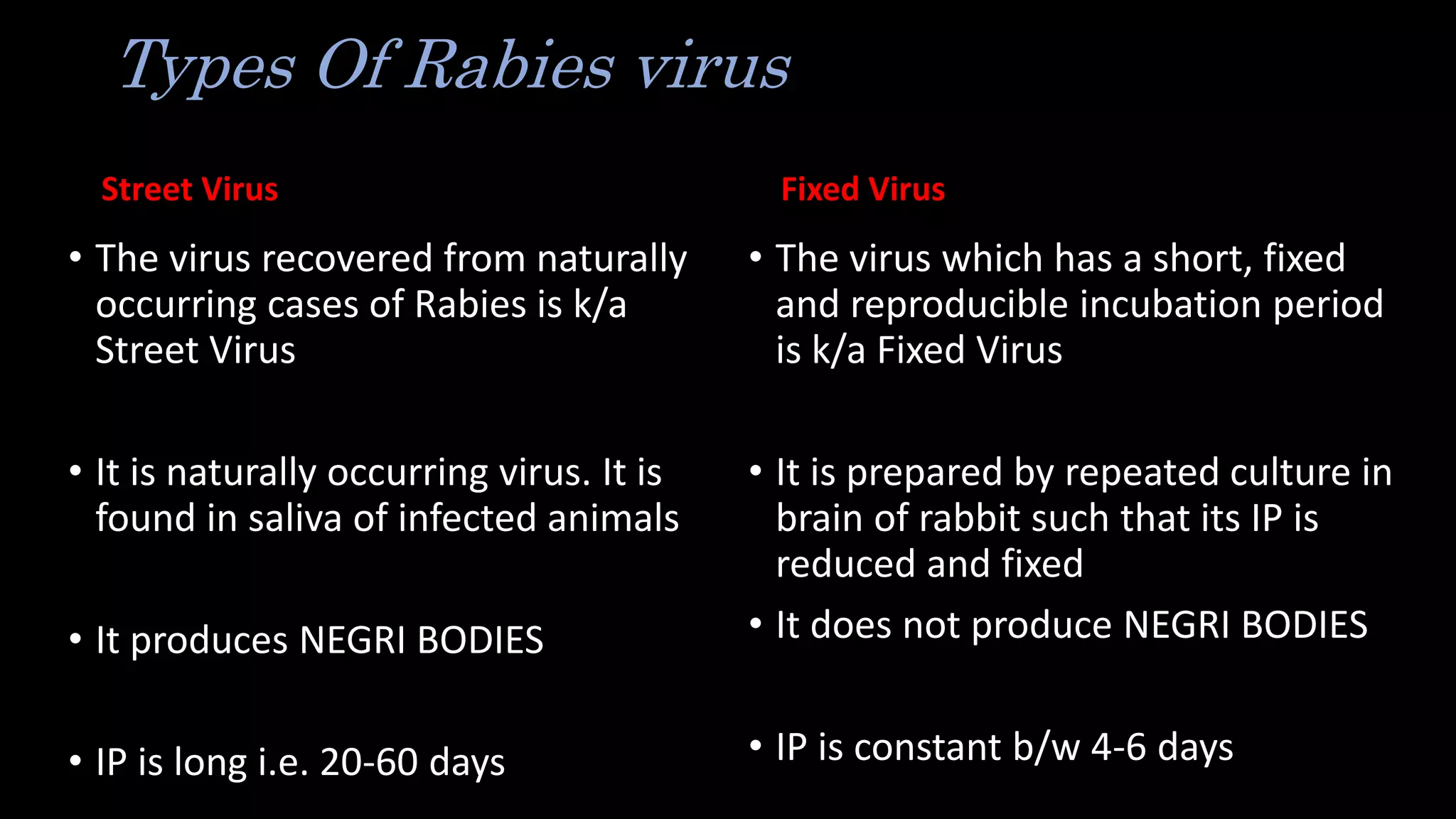 Rabies | PPTX