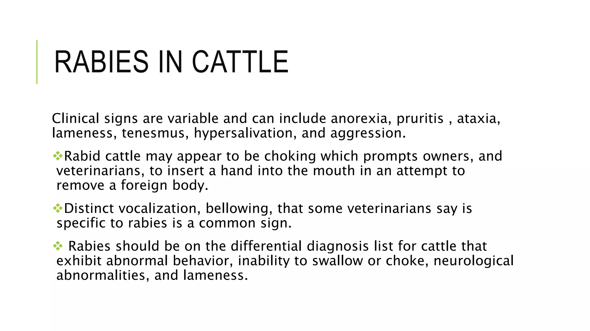 Rabies in HUMANS AND ANIMALS | PPTX