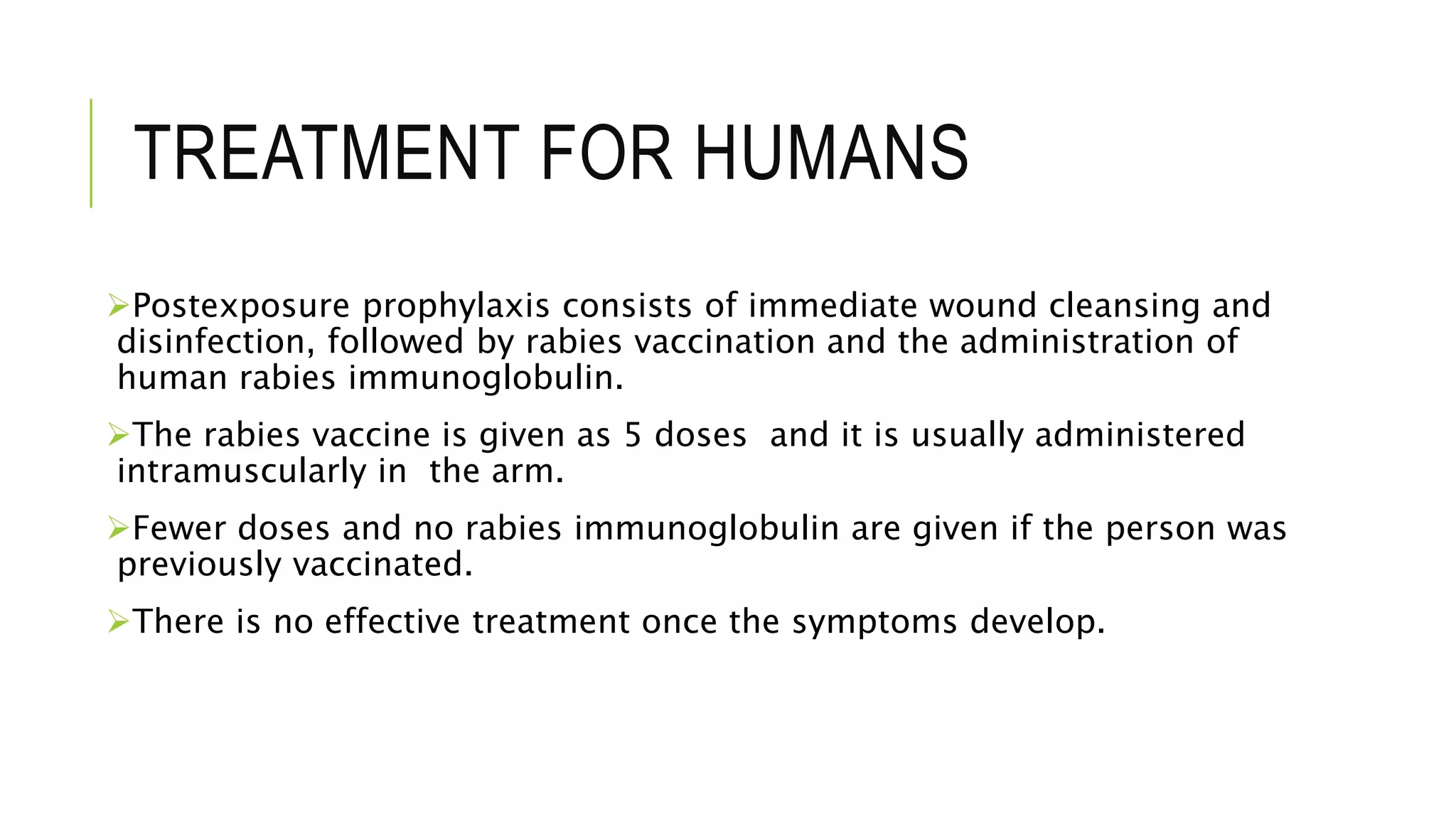 Rabies in HUMANS AND ANIMALS | PPTX