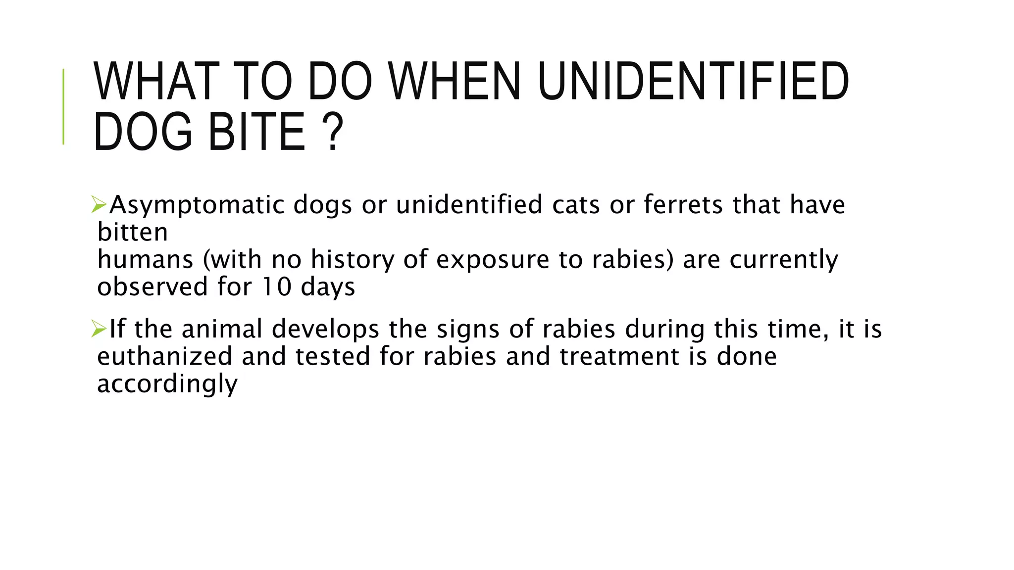 Rabies in HUMANS AND ANIMALS | PPTX