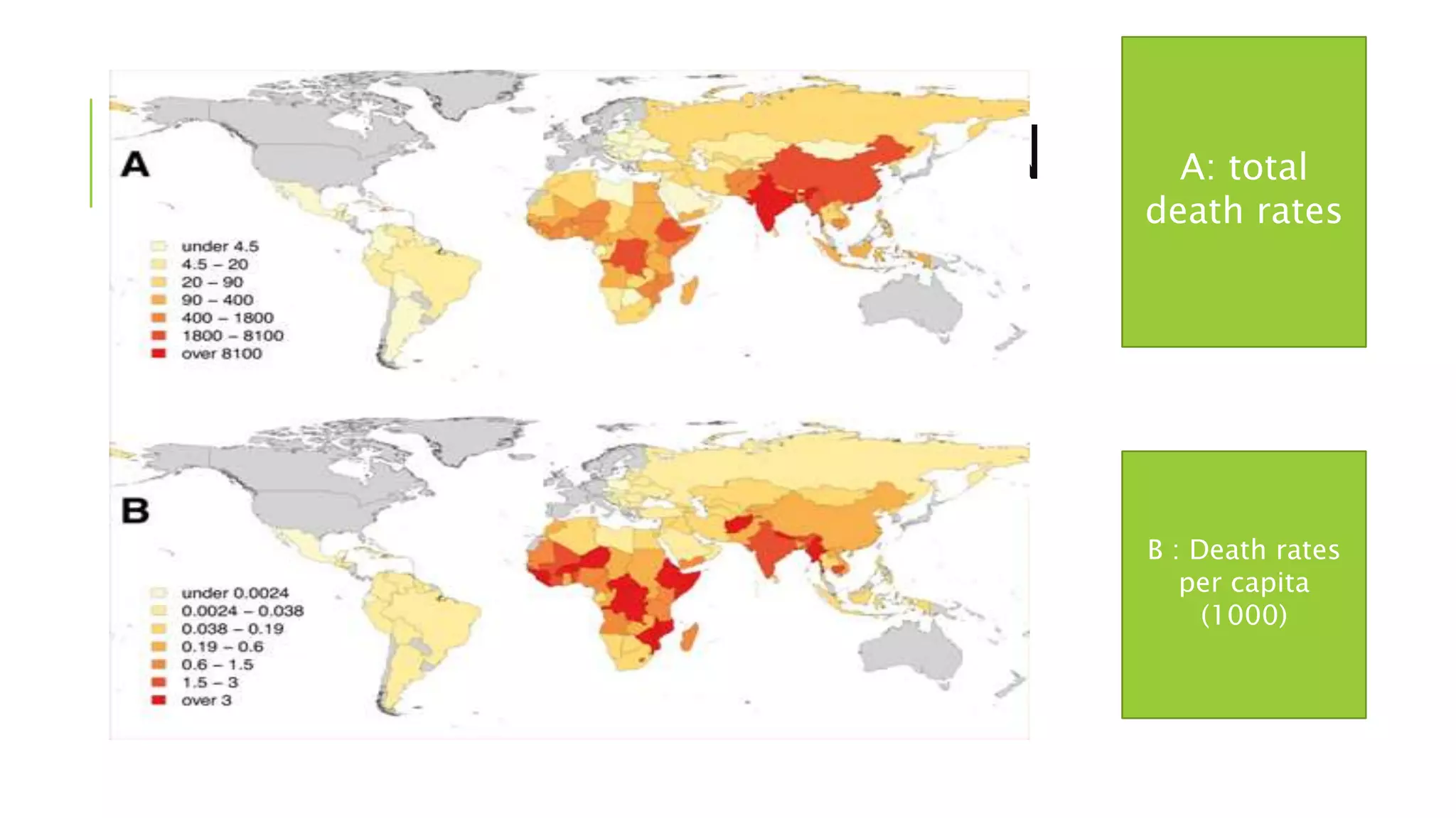 Rabies in HUMANS AND ANIMALS | PPTX