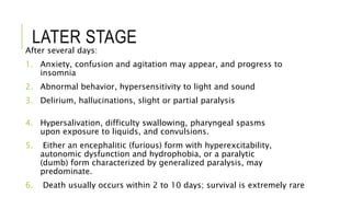 Rabies in HUMANS AND ANIMALS | PPTX