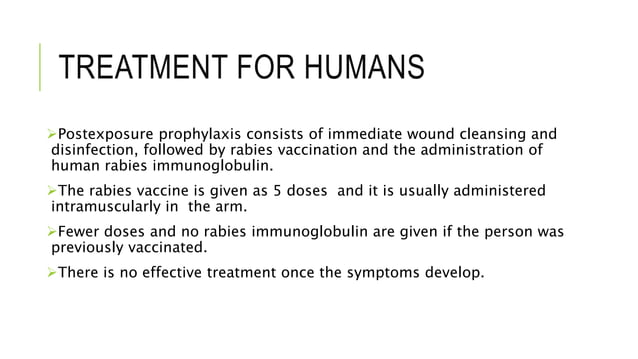 Rabies in HUMANS AND ANIMALS | PPTX