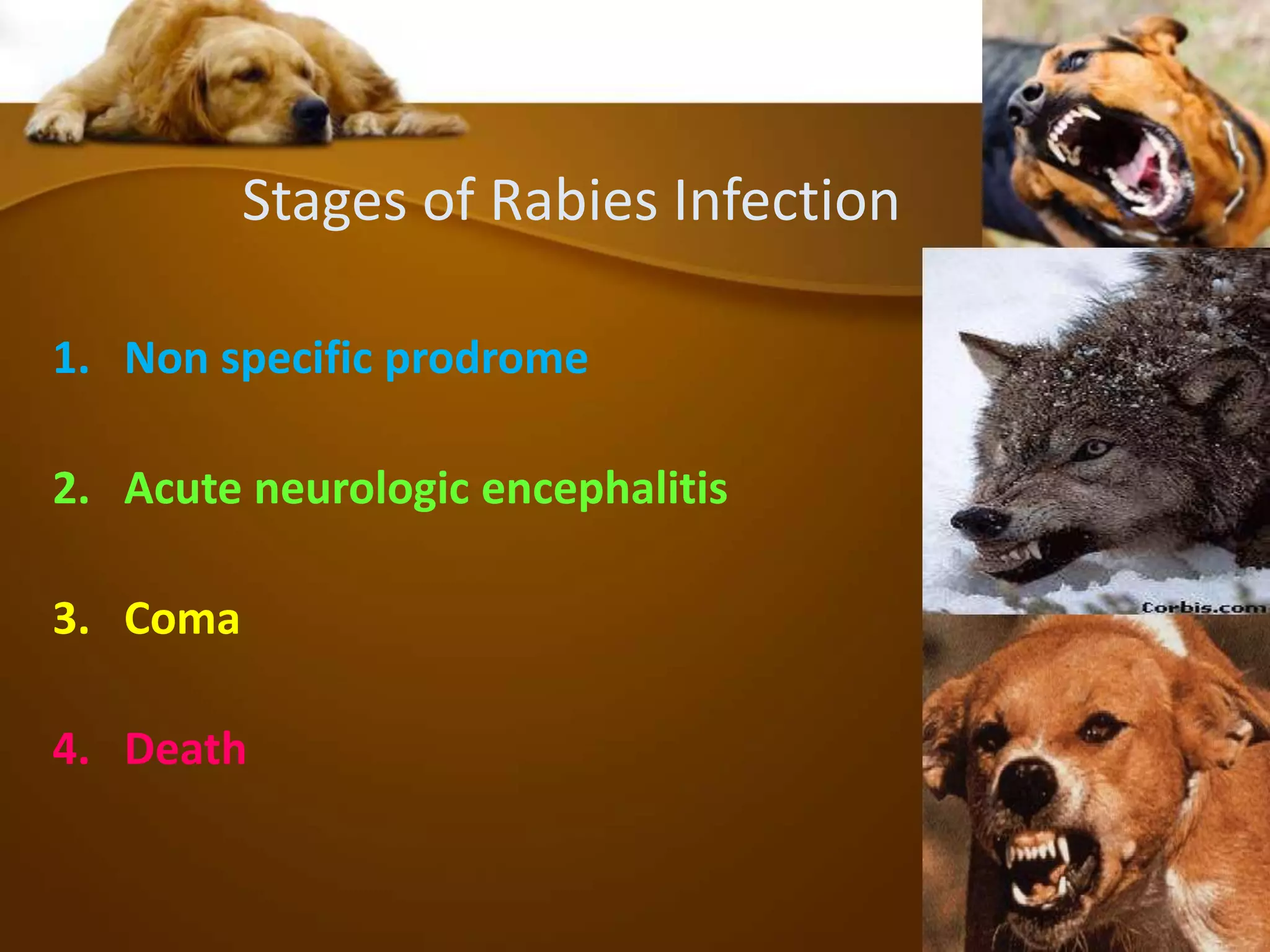 Rabies by Dr. Rakesh Prasad Sah | PPTX