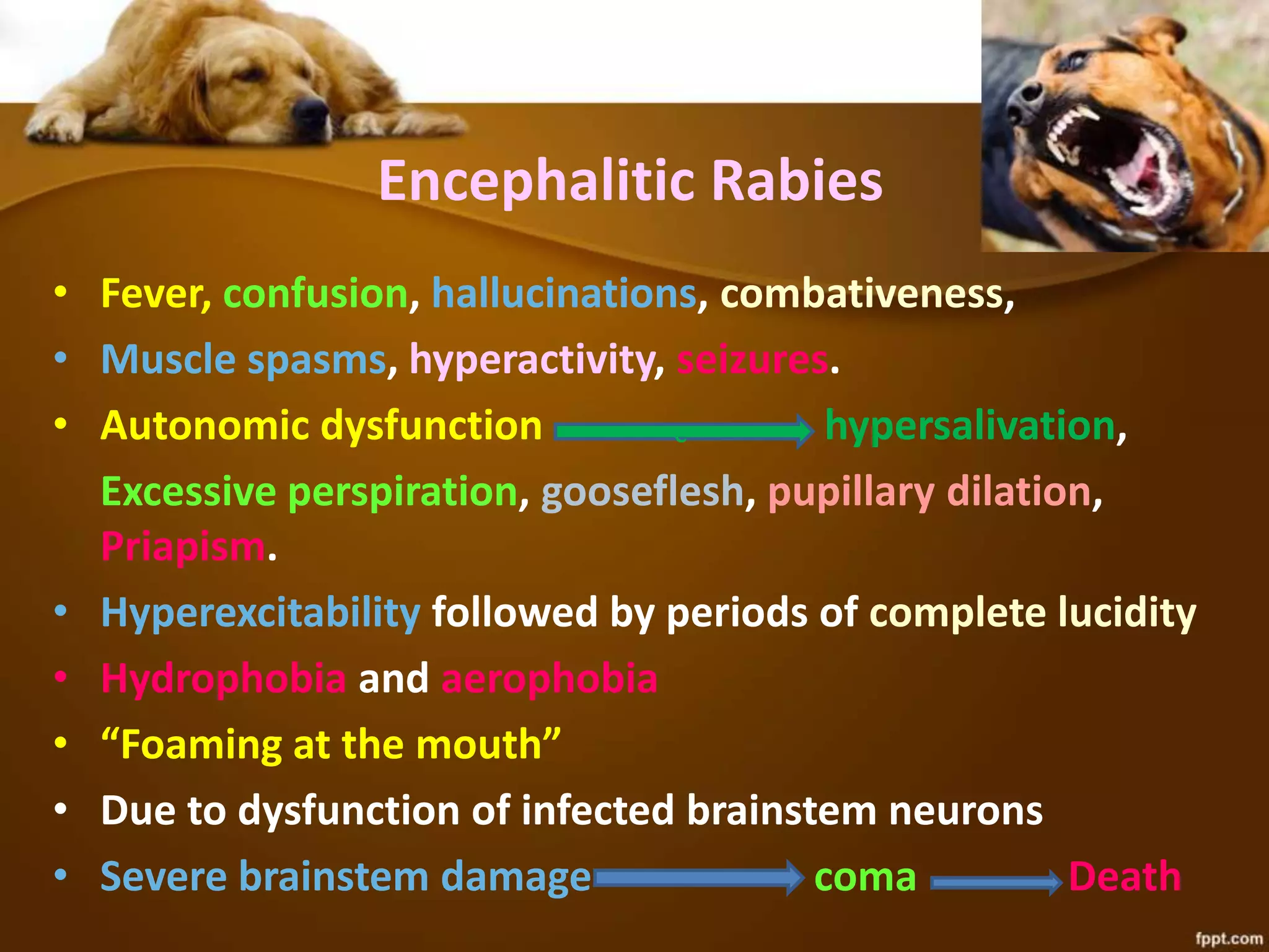 Rabies by Dr. Rakesh Prasad Sah | PPTX