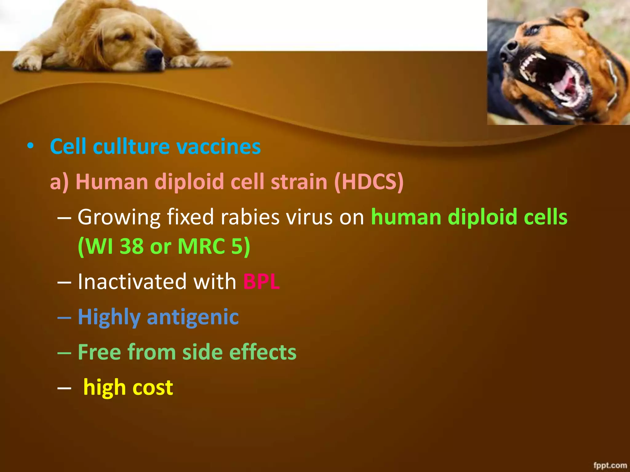 Rabies by Dr. Rakesh Prasad Sah | PPTX