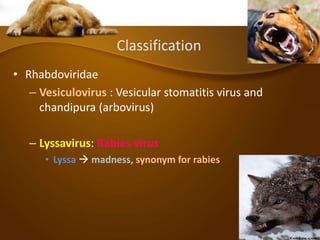 Rabies by Dr. Rakesh Prasad Sah | PPTX