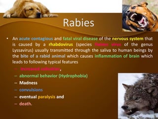 Rabies by Dr. Rakesh Prasad Sah | PPTX