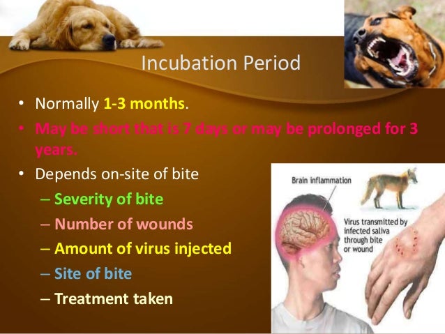 Rabies by Dr. Rakesh Prasad Sah