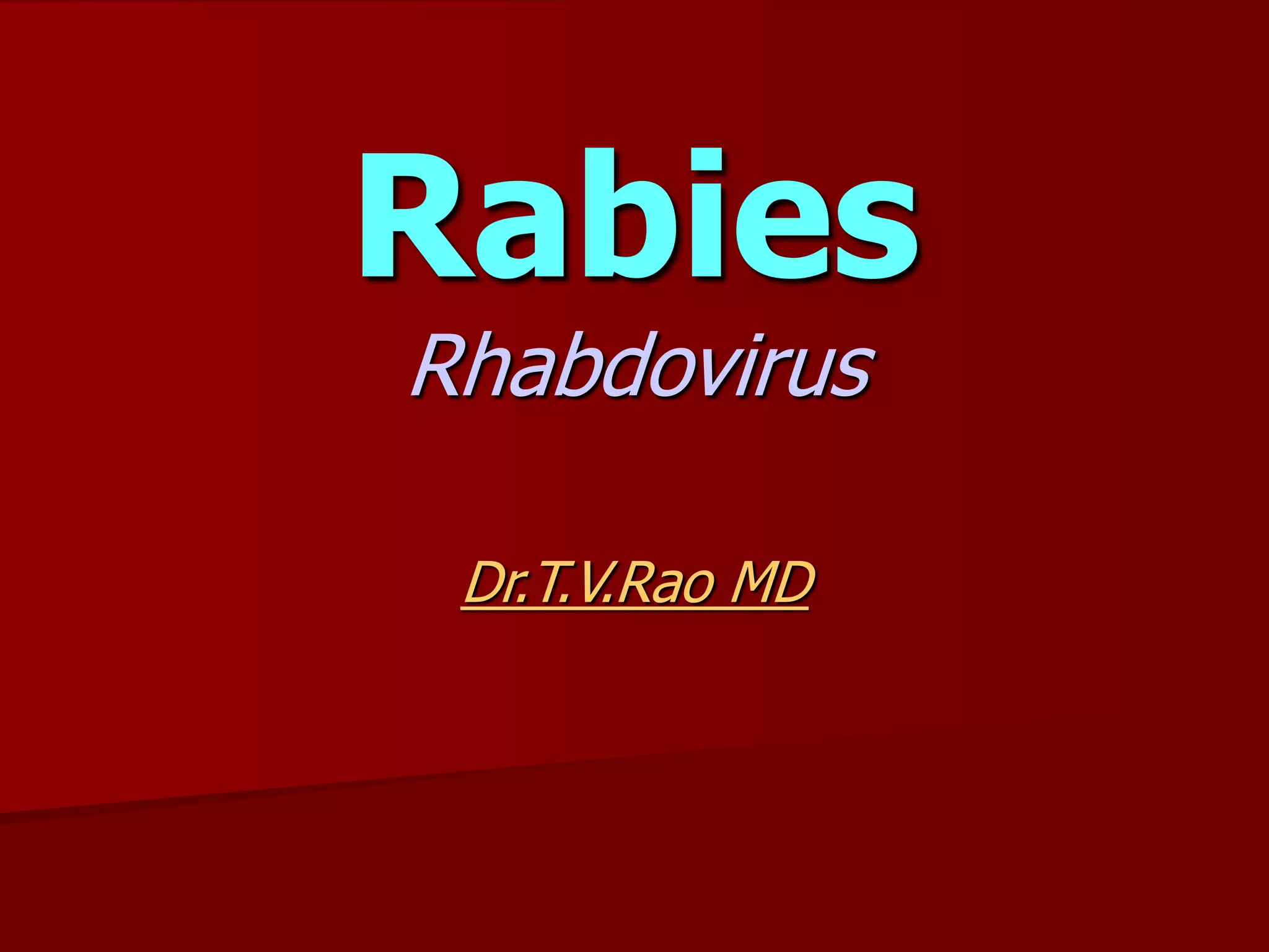RABIES (RHABDOVIRUS) | PPT