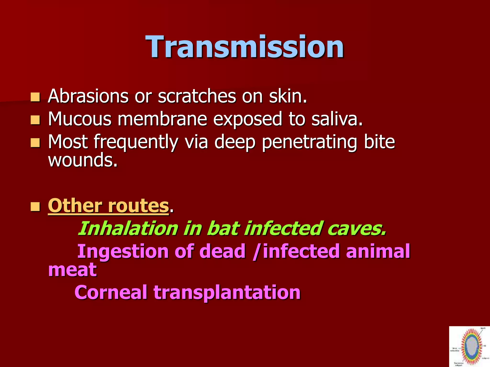 RABIES (RHABDOVIRUS) | PPT