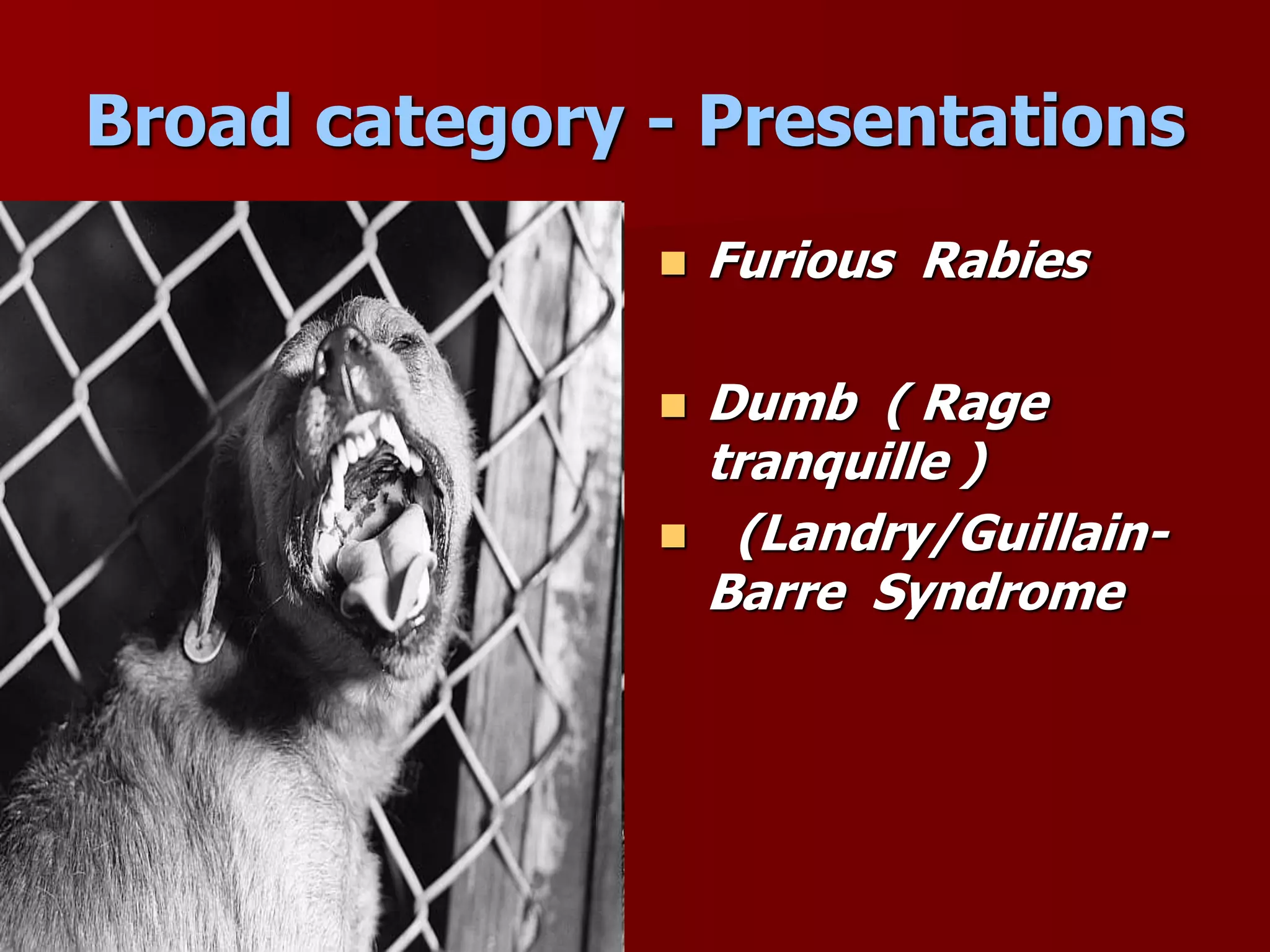 RABIES (RHABDOVIRUS) | PPT