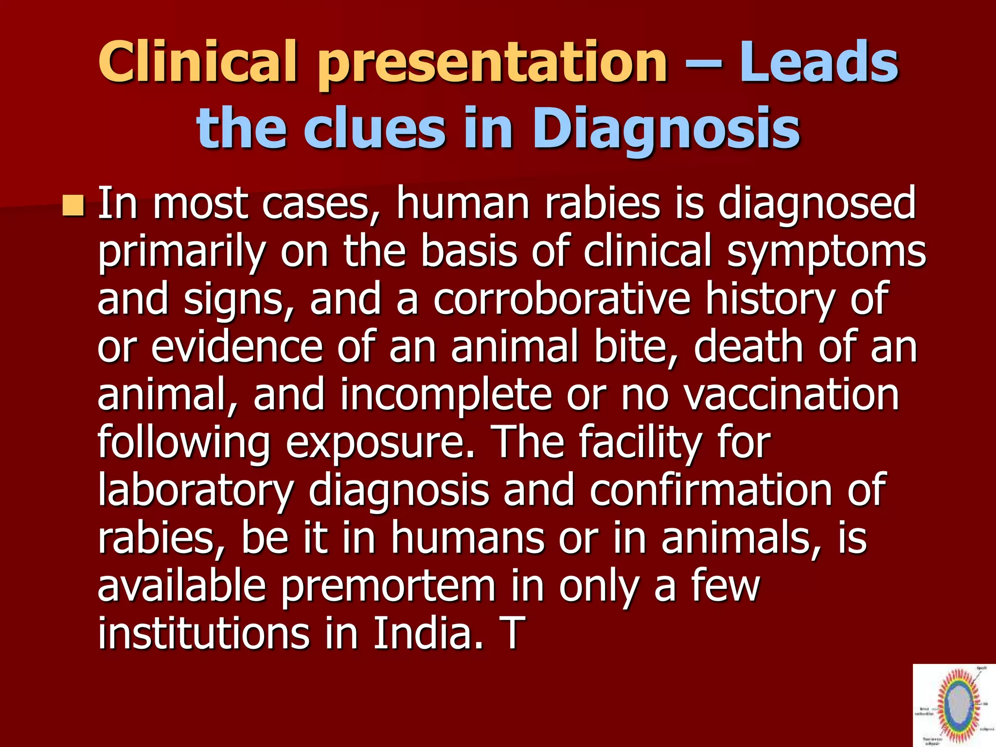 RABIES (RHABDOVIRUS) | PPT