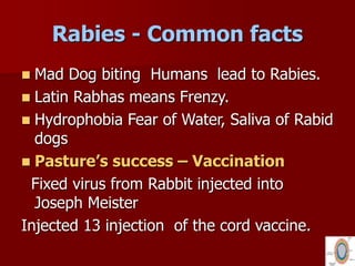 RABIES (RHABDOVIRUS) | PPT